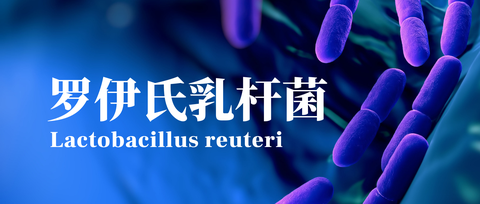 肠道核心菌——戴阿利斯特杆菌属 （Dialister） - 知乎