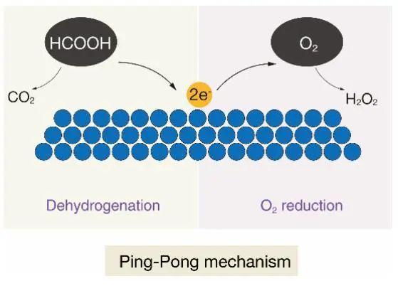 应化所Angew：Pt-Au合金催化甲酸氧化制过氧化氢 - 知乎