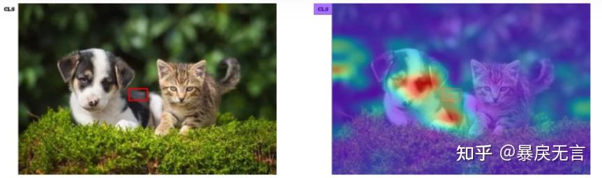 笔记|视觉注意力的可视化|ViT的attention visualization - 知乎