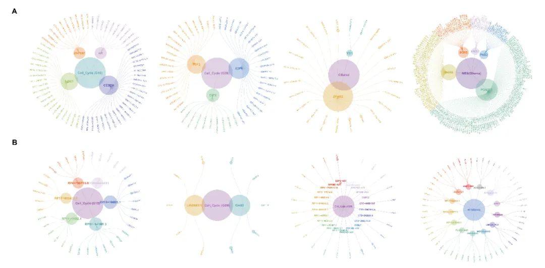 单细胞lncRNA如何分析？VITA助你一臂之力！ - 知乎