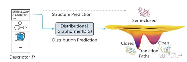 Distributional Graphormer：从分子结构预测到平衡分布预测 - 知乎