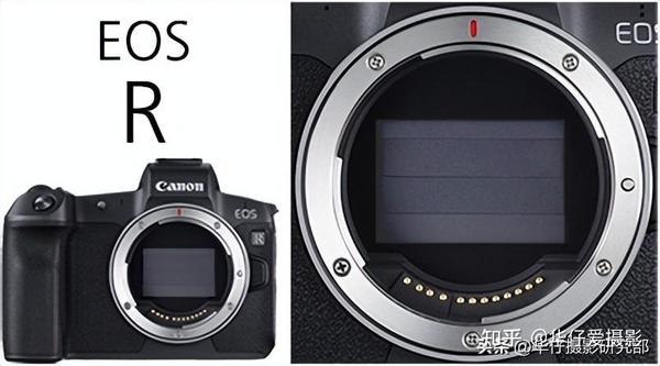 EOS R 与 EOS RP：选择哪个？ - 知乎