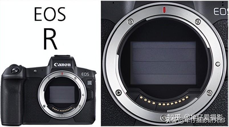 EOS R 与 EOS RP：选择哪个？ - 知乎