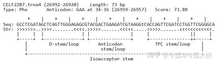 tRNAscan-SE 输出细节解析 - 知乎