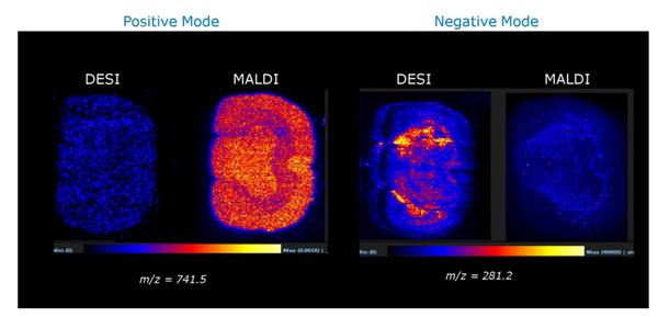 干货分享 | 质谱成像在药物DMPK研究中的应用前景 - 知乎