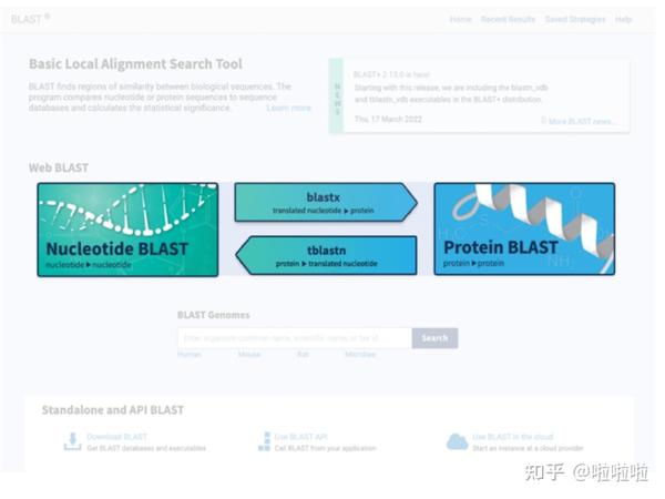 NCBI中BLAST的快速入门 - 知乎