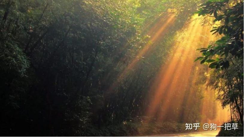 人格特质测评 一秒测出你的魅力大不大 人格魅力指数 知乎