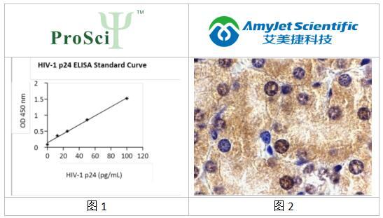 艾美捷ProSci丨ProSci ST2 抗体说明书 - 知乎
