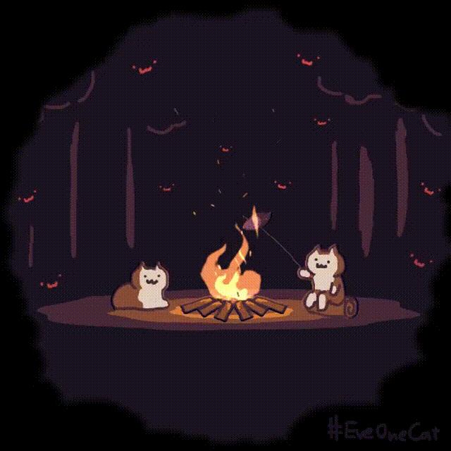 魔性猫猫everyday one cat 表情包 - 知乎