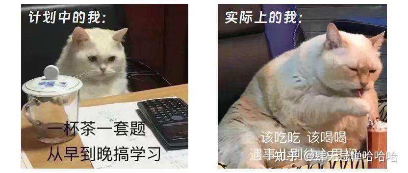 认识一下sacB gene - 知乎