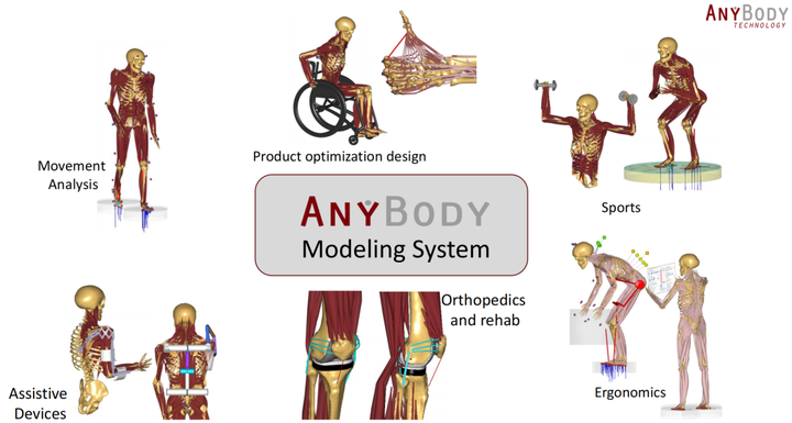 【新】AnyBody人体建模仿真软件 - 知乎