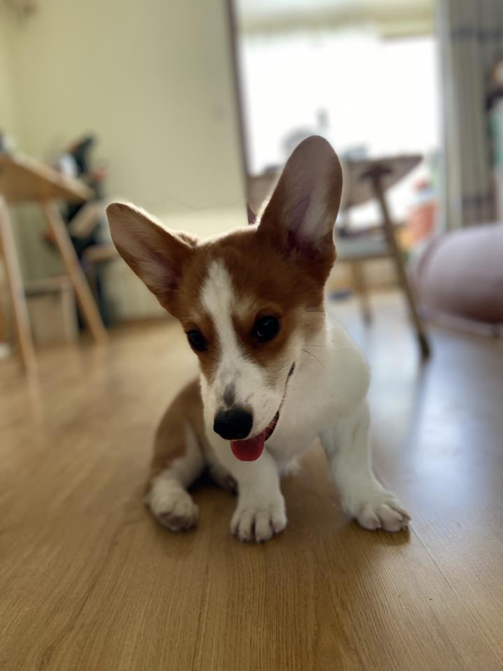 CUDA GEMM系列：从「看不懂参数」到「能自己推出来」：一次 128×128 CUDA GEMM Shared Memory 优化的完整拆解 - 知乎