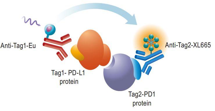 药物筛选自动化解决方案 - 知乎