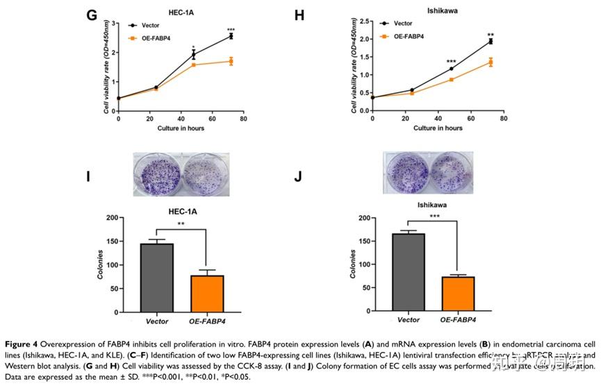 FABP4还能抑制肿瘤？你还能通过看图表快速读懂这篇文章！真的上头！ - 知乎