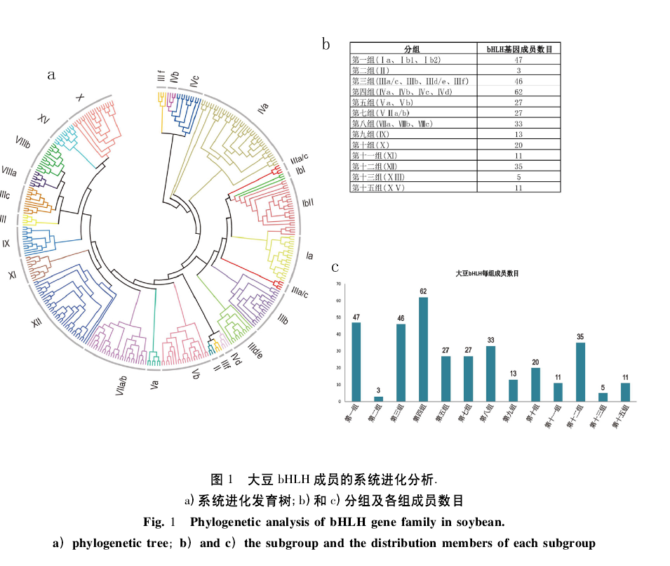 bHLH、MYB、WD40蛋白互作 - 知乎