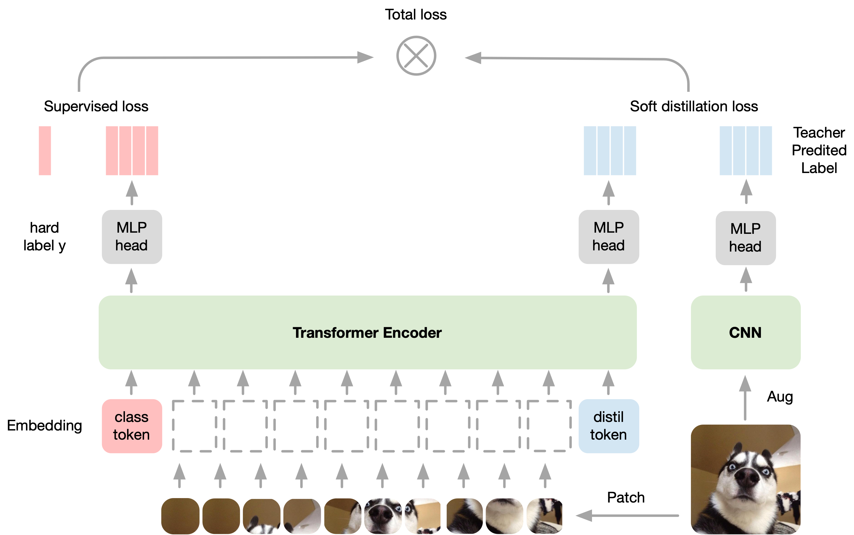 ViT、Deit这类视觉transformer是如何处理变长序列输入的? - 知乎