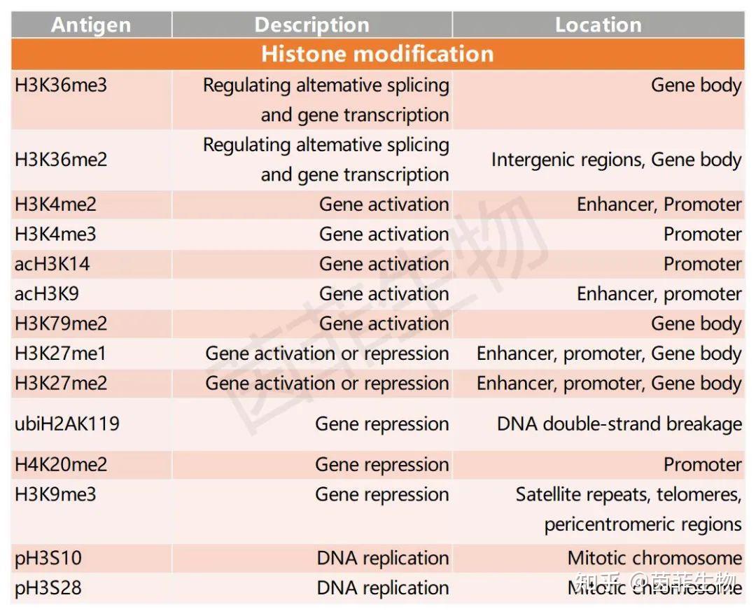 Circ Res | IMC绘制小鼠心肌缺血再灌注损伤的单细胞蛋白修饰时空图谱 - 知乎