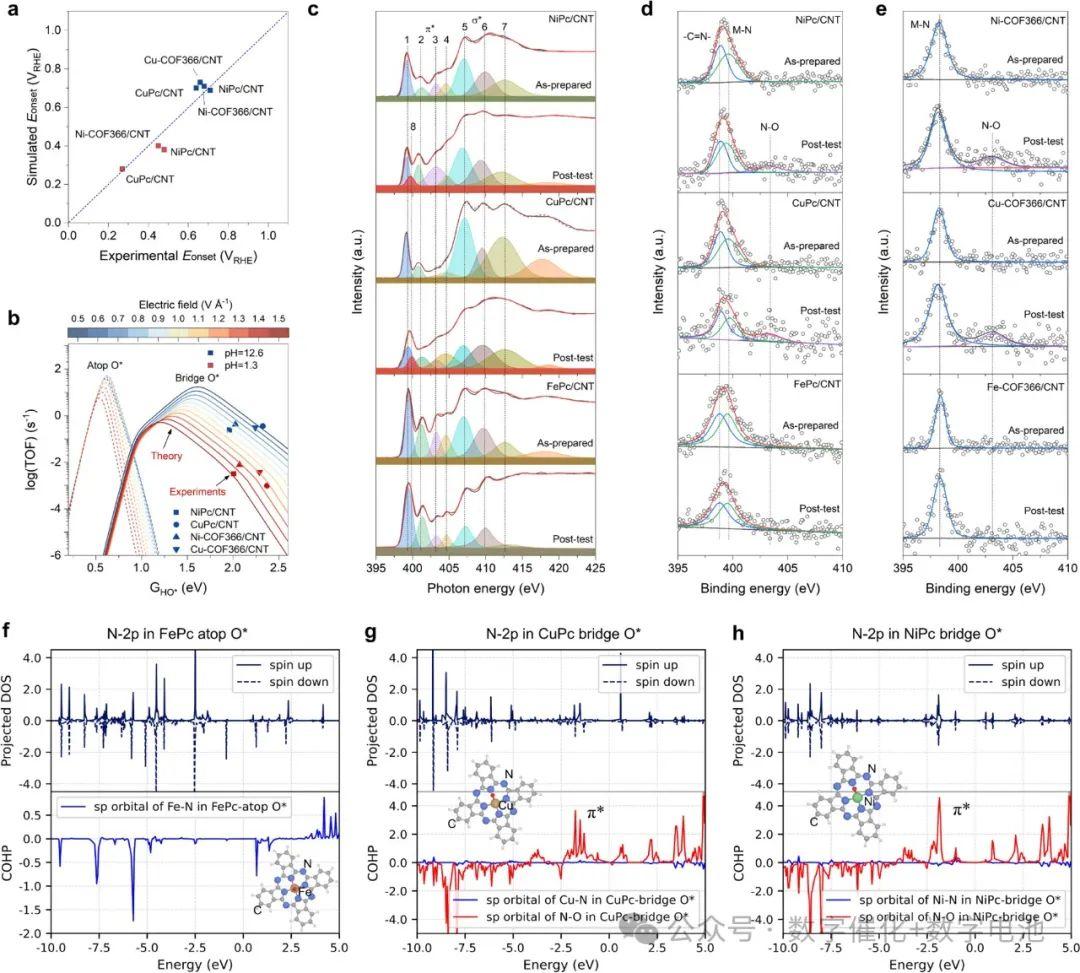 日本东北大李昊最新JACS | DigCat助力揭示弱吸附单原子M-N-C催化剂的全新ORR路径：金属-氮桥位氧吸附反应路径 - 知乎