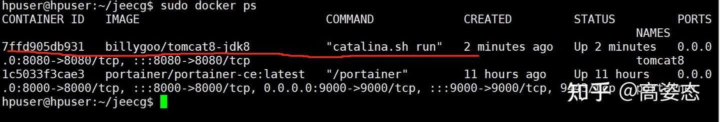 Jeecg项目在Docker中部署 - 知乎