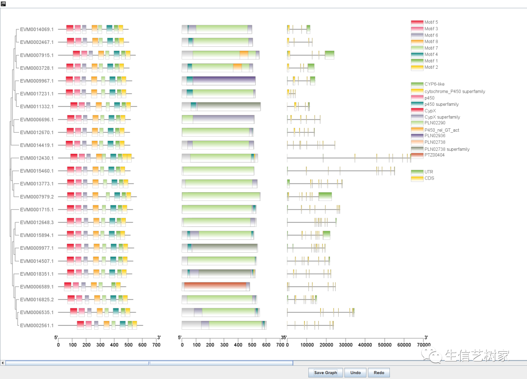 TBtools | 基因家族分析 (进化树、Motifs、结构域) - 知乎