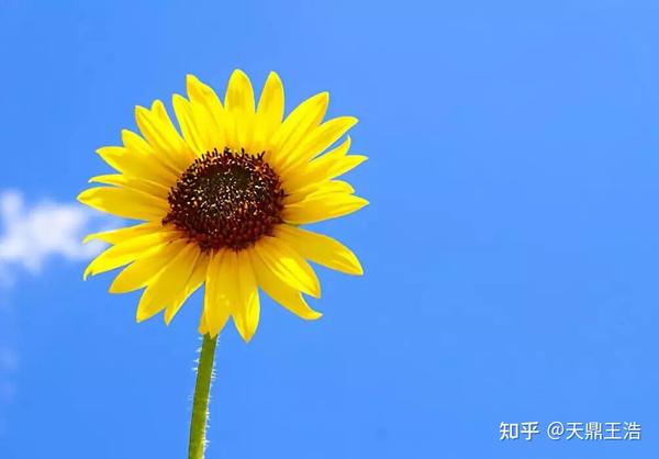 如何成为更好的人？63个让你变得更好的建议 知乎 