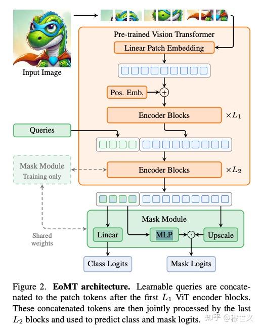 【CVPR25 HighLight】你的 ViT 实际上是一个图像分割模型 - 知乎