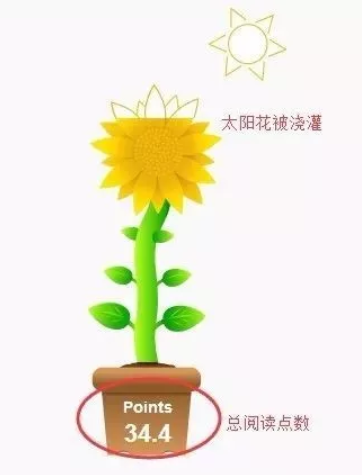 从启蒙走向英语进阶的必备利器-Star Test +AR Quiz - 知乎