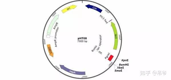 SCI教程：如何在论文中画出漂亮的插图？ - 知乎