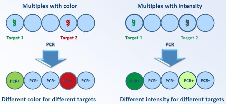 技术剖析：Digital PCR原理，分类及其应用前景 - 知乎