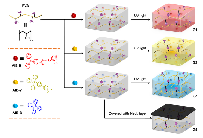 AIE罗丹明双吡啶甲基氨基萘酰亚胺荧光探针repn/AIE苯并噻唑衍生物荧光探针的研究 - 知乎