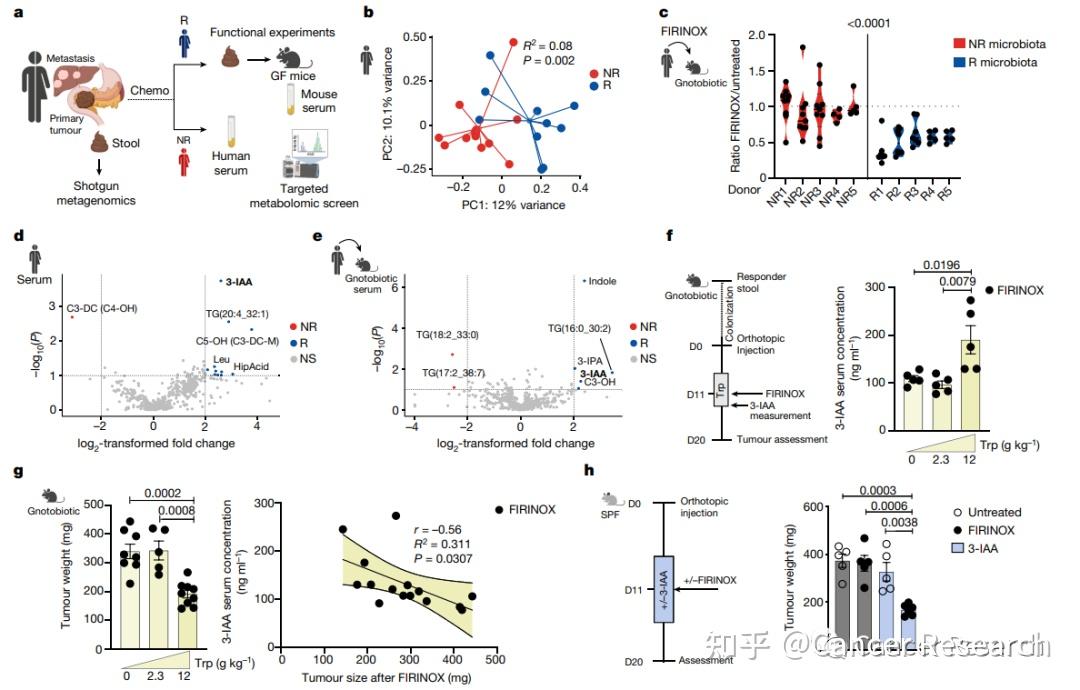 Nature|微生物来源的3-IAA影响胰腺癌化疗疗效 - 知乎
