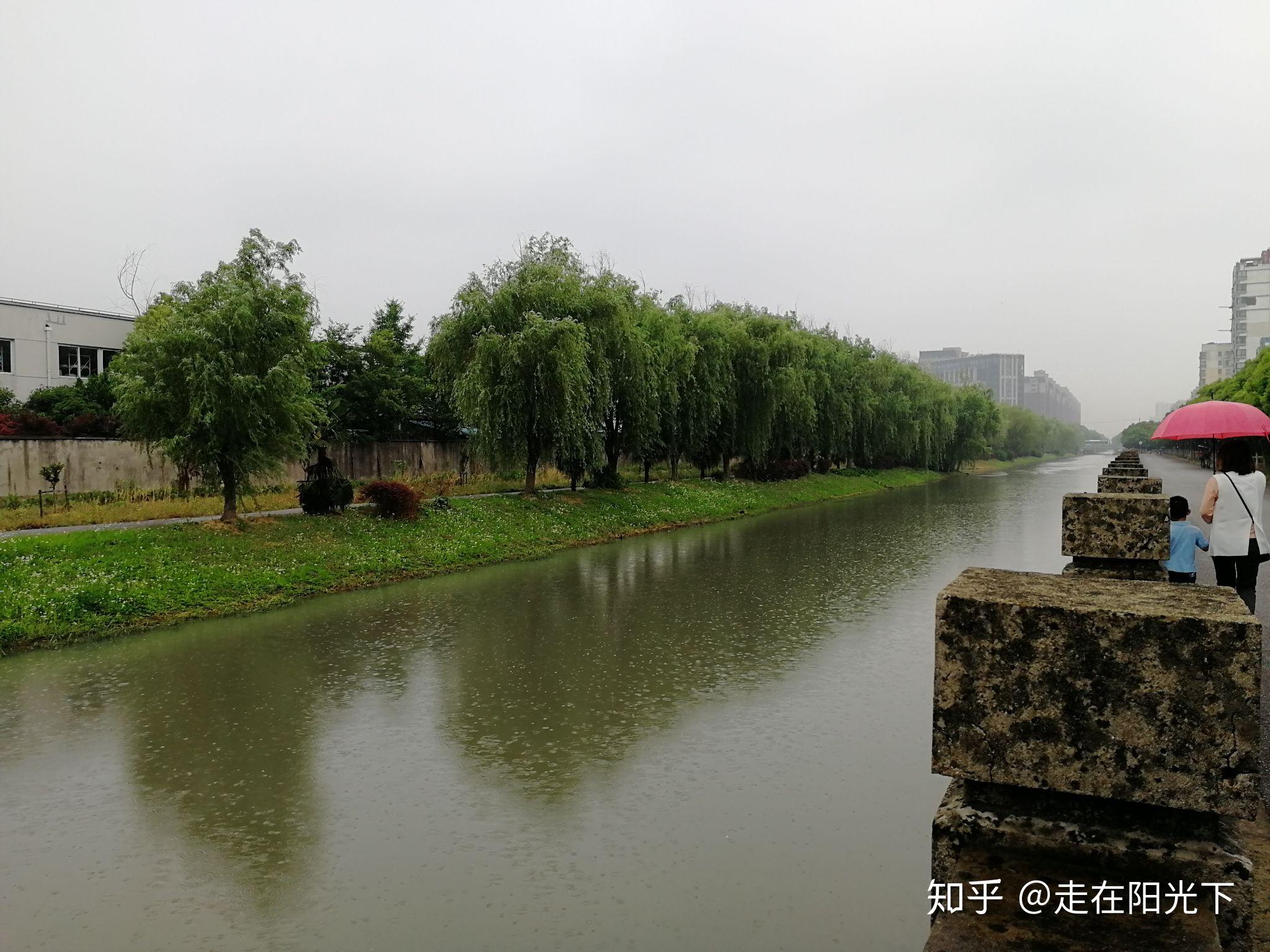 春雨 - 知乎
