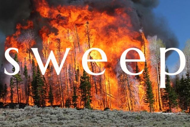 只知sweep是打扫？那这个单词你一定白学了！ - 知乎