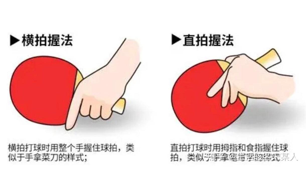 新手入门乒乓球拍该如何挑选?乒乓球拍底板套胶怎么挑?红双喜的球拍到底好不好?入门乒乓球拍选购指南!