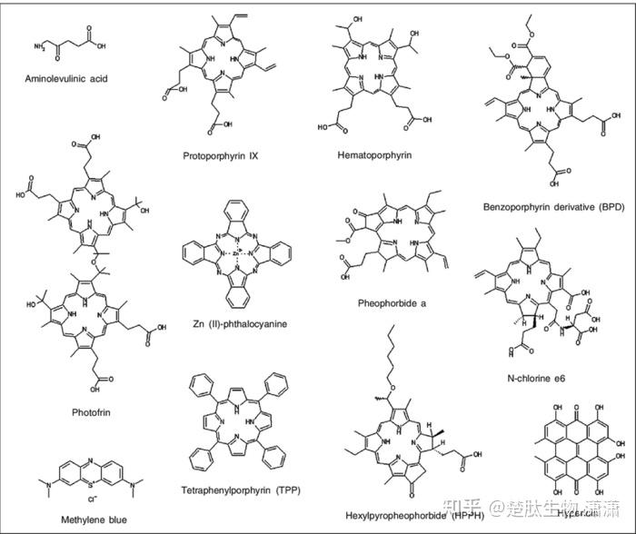 常见的几种光敏剂（PDT光动疗法中）-8种光敏剂mTHPC/Ce6/Ppa/HPPH/NPe6/BPMppa/叶绿素-a/脱镁叶绿酸-a介绍 - 知乎
