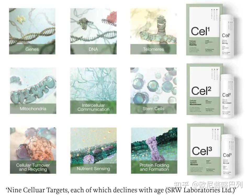 全球瞩目！新西兰SRW想要解决困扰人类的世纪难题 - 知乎