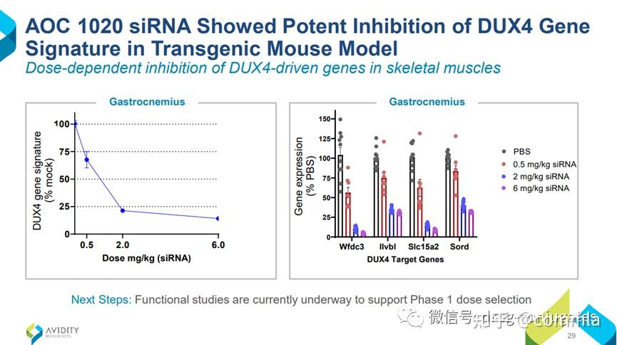 Avidity：抗体核苷酸偶联物（AOC）领域龙头技术梳理 - 知乎