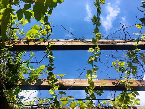 让孩子爱上数学，你只差可汗学院出品的这款Moose Math - 知乎