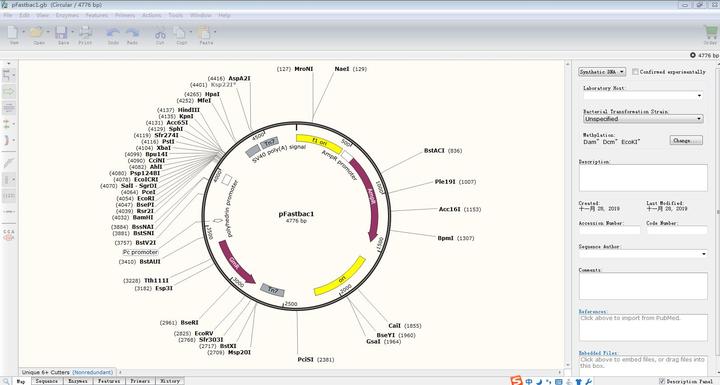 SnapGene安装和使用教程 - 知乎