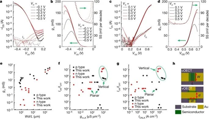 重磅！电子科技大学，再发《Nature》！ - 知乎