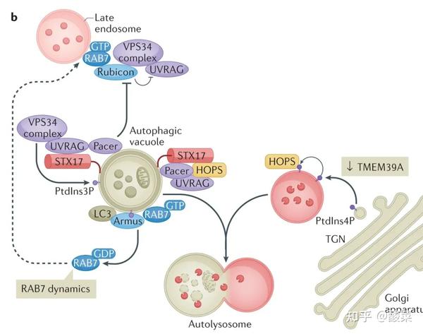 极速收藏！94分Nature子刊重磅综述带你全方位了解这一科研热点 - 知乎
