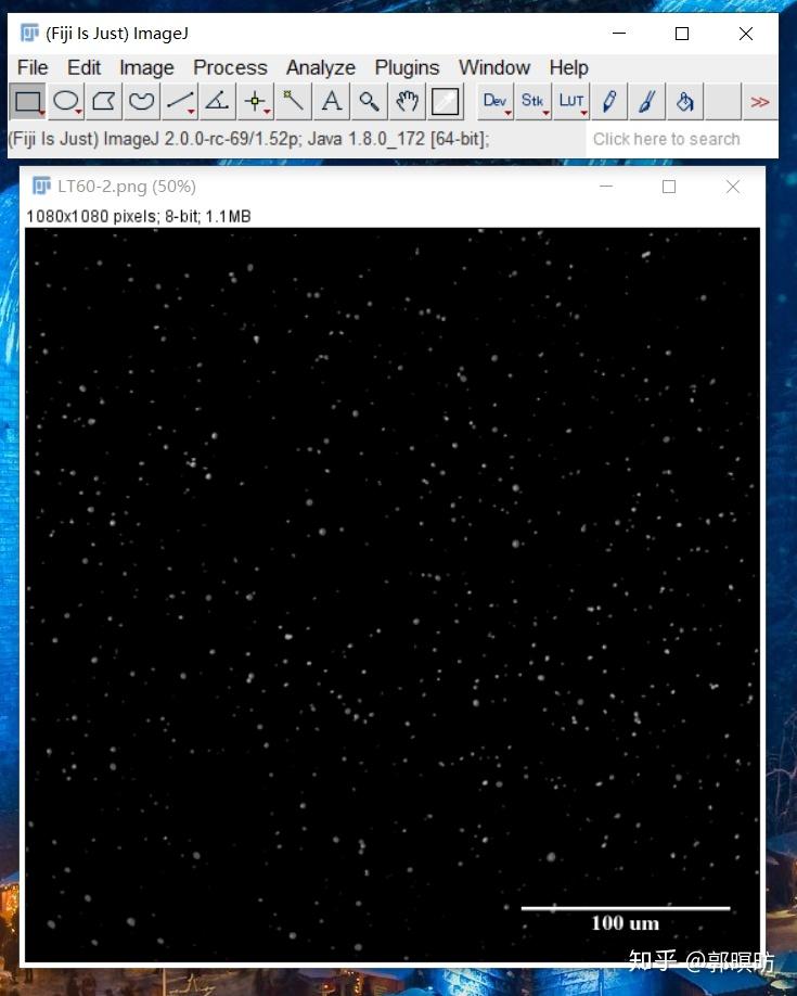 ImageJ使用心得之Particle Analysis （一） - 知乎