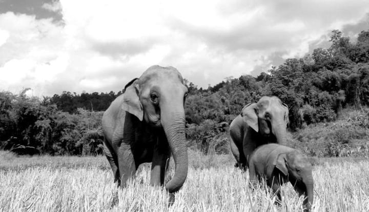 进阶数据库系列(八):postgresql 锁机制 知乎eoi 0122