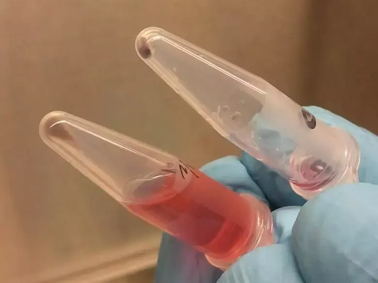 Trizol法RNA提取实验操作步骤及注意事项 - 知乎