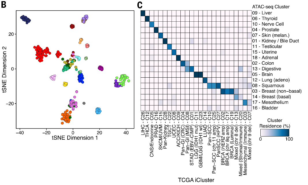 表观图谱：全面解析调控元件 - 知乎