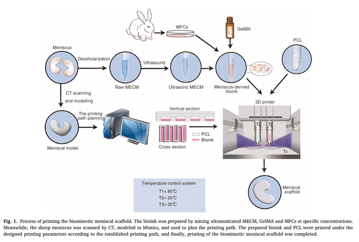 301医院郭全义团队Bioactive Materials|生物3D打印仿生半月板 - 知乎