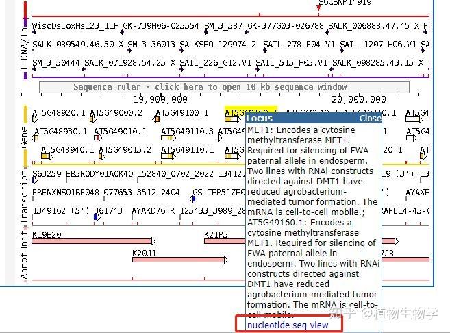 拟南芥种子订购详细攻略-TAIR-ABRC篇 - 知乎