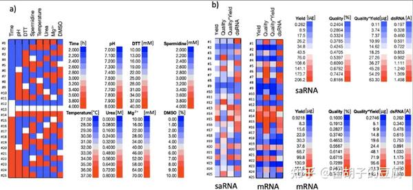 IVT反应参数对mRNA和saRNA产量和质量的不同影响。 - 知乎