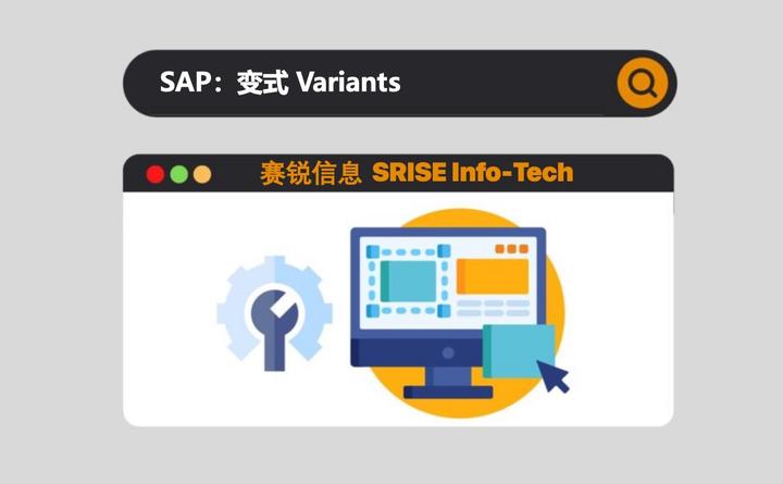 深入解析 SAP S/4HANA 变式 VARIANT功能 - SAP License - 知乎