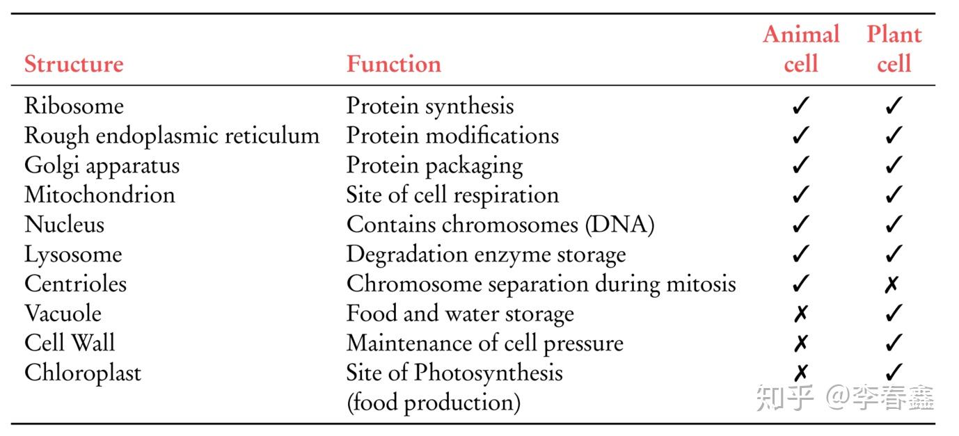 Topic 1.2 Ultrastructure of Cells 细胞显微结构 - 知乎